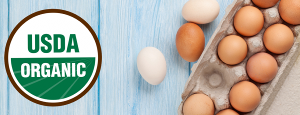 Quality Certification Services – Organic and Food Safety Certifications ...